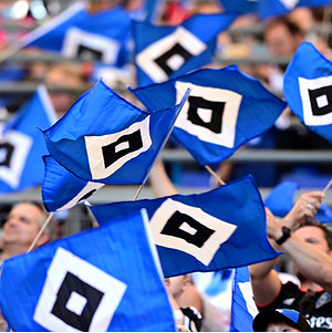 Fahnen & Wimpel | HSV-Fanshop